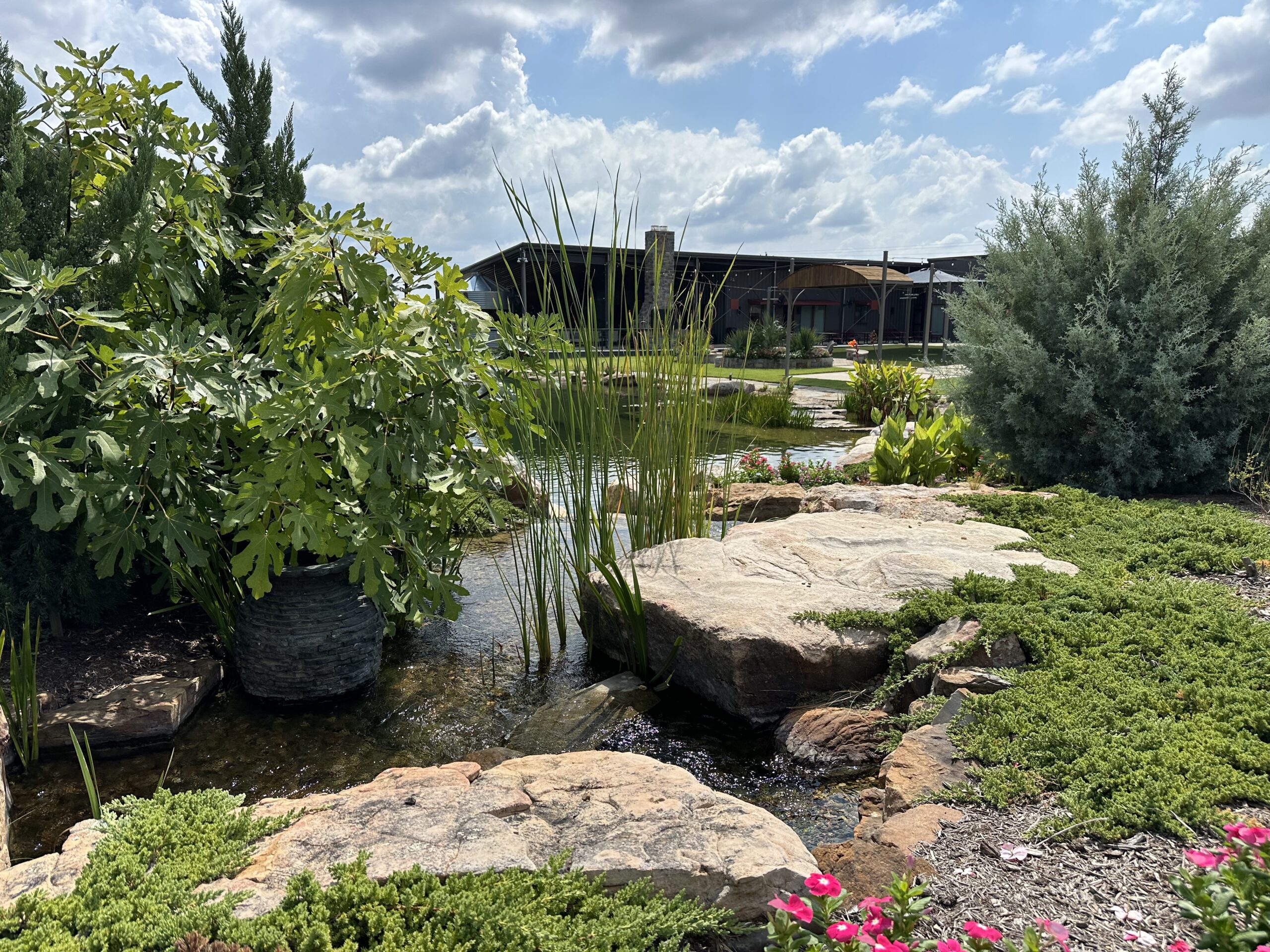 Natural Swimming Pool Texas | Organic Pool Builder - Chemical-Free Pools